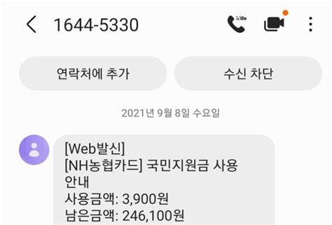 재난지원금 어제 신청했는데 사용된당ㅎㅎ 인스티즈instiz 일상 카테고리