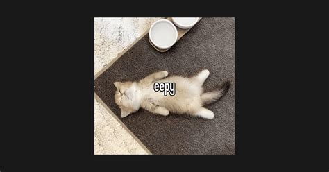 Eepy Cat Eepy Funny Cat Meme Eepy Cat Saying Eepy Cat Eepy Funny Cat Meme Eepy Cat T Shirt