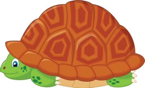 Turtle An Armor Beautiful Turtle Vector An Armor Beautiful Turtle