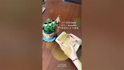 （kalimba Cover 好不容易 Finally 告五人 Accusefive《華燈初上》片尾曲 拇指琴版 Youtube
