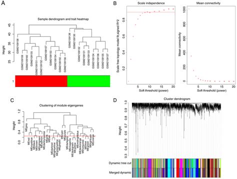 construction of gene co expression modules a clustering dendrograms