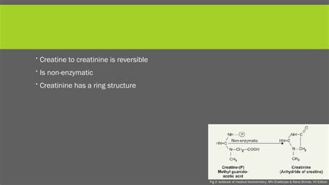 Biosynthesis Of Creatine For Bsc Medical Laboratory Technology Ppt