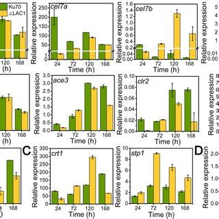 QRT PCR Analysis Of The Transcript Abundance Of Genes Relevant To
