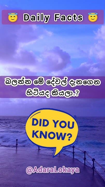 බලන්න මේ පුදුම කරුණු ටික දන්නවද කියලා 😮💖 Shorts Education
