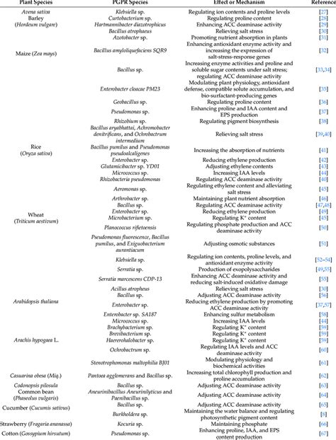Interaction Of Plant Growth Promoting Bacteria Pgpr Under Stress And