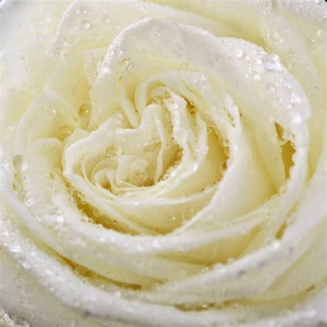 Mavituna 2014 Youtube