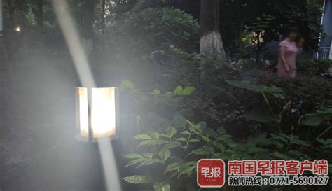 太吓人！南宁一小区内多条蛇出没，有居民吓得晚上不敢出门南国早报网 广西主流都市新闻门户