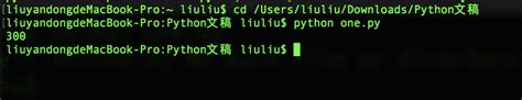使用终端执行python程序 Csdn博客