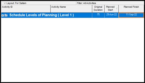 What Are Schedule Levels From Level 1 To 5 Planning Engineer