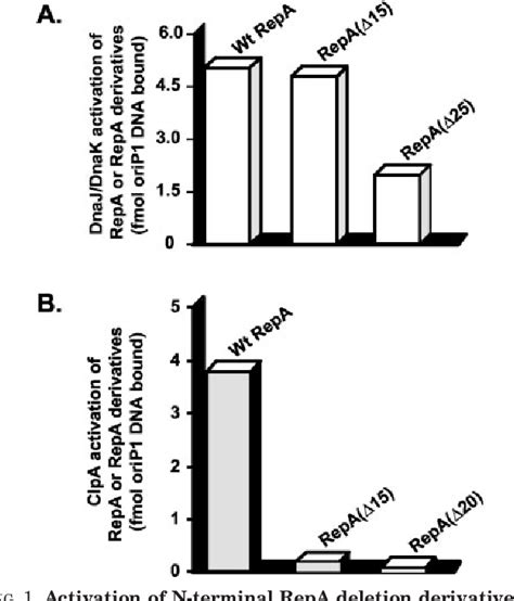 Figure 1 From Interaction Of The Dnak And Dnaj Chaperone System With A