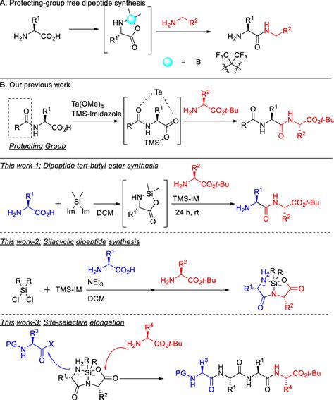 Simple Dipeptide Structure