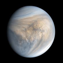 Venus Wikipedia