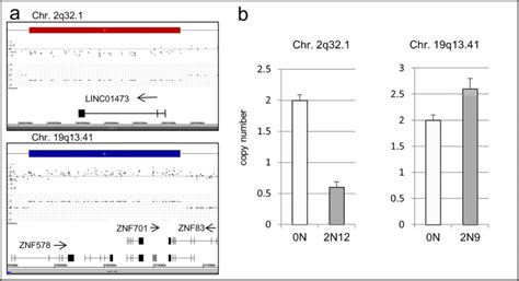 SNP Array Copy Number Analysis A And Verification Using A QPCR Download Scientific Diagram