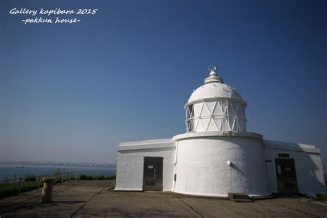 Gallery Kapibara