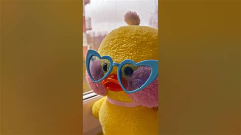 ЭДИТ С УТОЧКОЙ ЛАЛАФАНФАН Lalafanfan Duck уточкаизтиктока лалафанфан Katy уточкалалафанфан