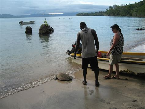 Tetepare Island Eco Lodge Resort Reviews Solomon Islands Munda