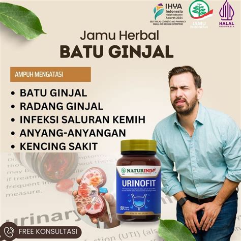Jual Obat Batu Ginjal Herbal Obat Sakit Pinggang Gangguan Ginjal Infeksi Saluran Kemih Shopee