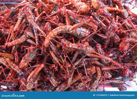 Delicious Fried Grasshopper Stock Image Image Of Protein Thailand