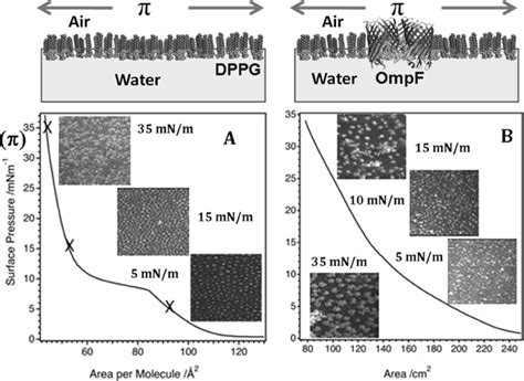 Surface Pressure Experiments With Corresponding Schematic Diagrams Download Scientific Diagram