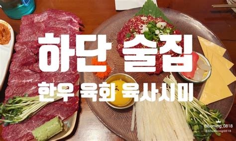 부산 하단술집 홍단육회 한우암소 사용 육회 뭉티기 육사시미 네이버 블로그