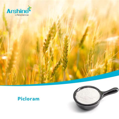 Arshine Lifescience Co Ltd