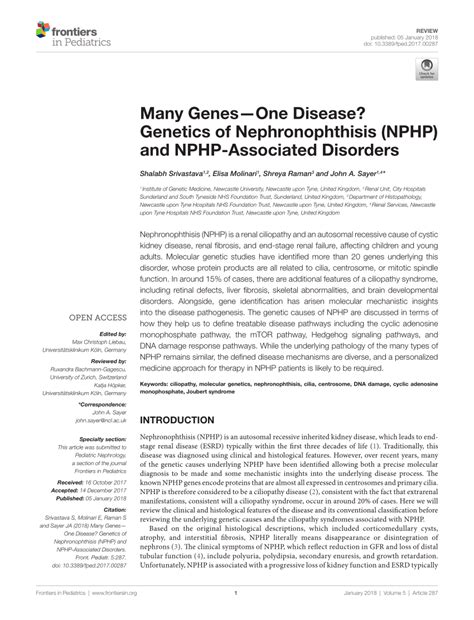 Pdf Many Genes—one Disease Genetics Of Nephronophthisis Nphp And Nphp Associated Disorders