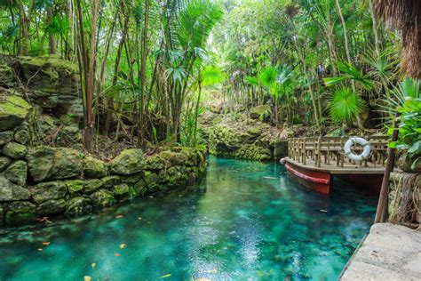 Parque Xcaret Transfer Plus
