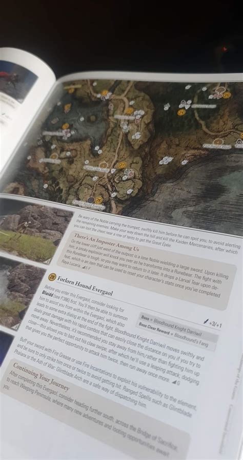 Elden Ring Guide Really Dropped A Among Us Joke Ffs Reldenring