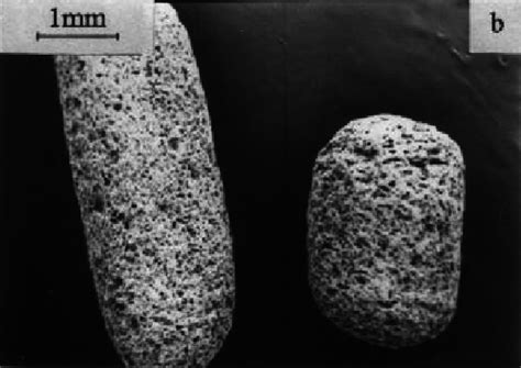 B Scanning Microscope Picture Of Ag80 Active Carbon Download