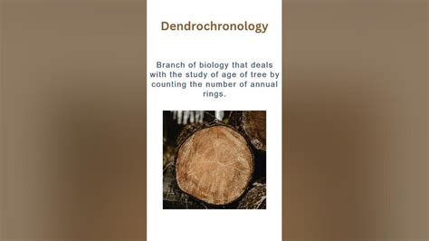 Dendrochronology Definition Youtube