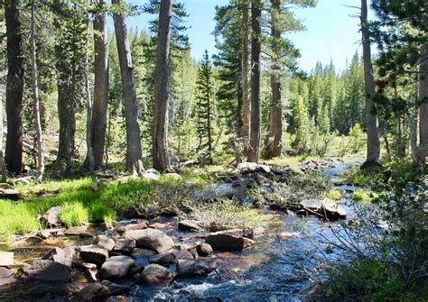 Land For Sale Dinkey Creek Ca At Todd Bushman Blog