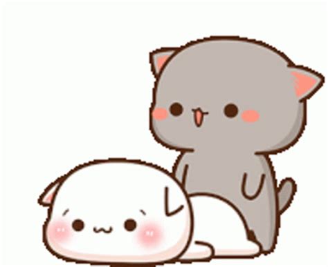 Cute Cat Sticker Cute Cat Discover And Share S