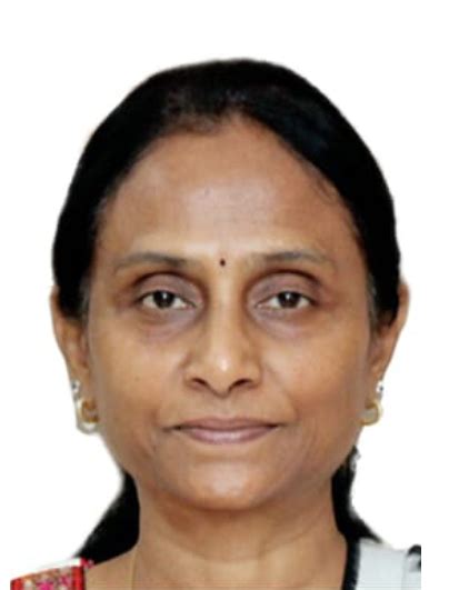 Board Of Directors Thirumalai Chemicals Limited