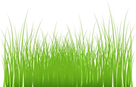 Grass Silhouette Seamless Pattern Green Grass Meadow Border Vector
