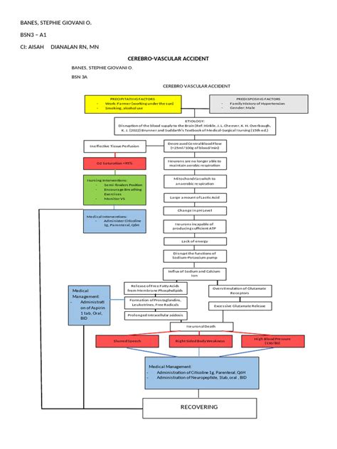Cva Concept Map Pdf Human Diseases And Disorders Angiology