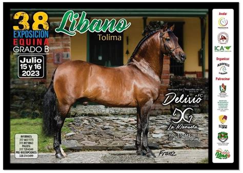 Prepárese Para La 38 Feria De Exposición Equina En El Líbano Tolima
