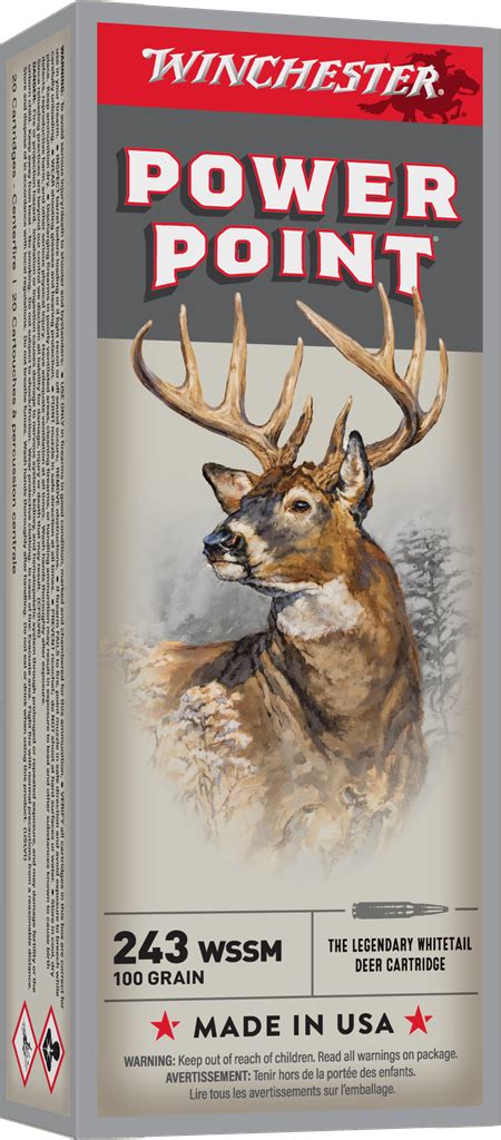 X243wss Winchester Ammunition