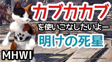 【モンハンアイスボーン】カブカカブ抜刀ころりんで明けの死星に挑む Youtube