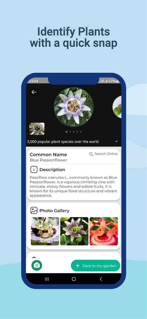 Plant Identifier Apk Download For Android Latest Version