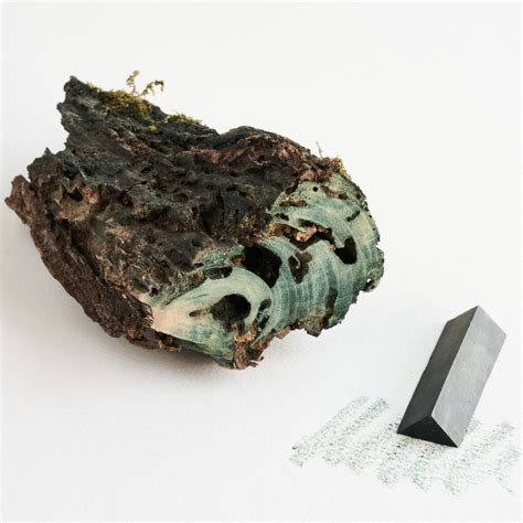 Forest Crayons Winner Dezeen Awards 2021