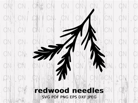 Redwood Needles Silhouette Svg Pine Needle Clipart Forest Foliage