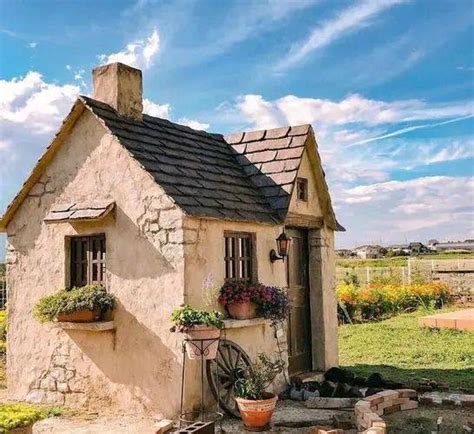 【名著选读】e·b·怀特《夏洛的网》生命生活蜘蛛