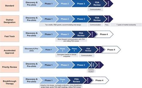 An Overview Of The Fdas Special Review Pathways And Designations Fda