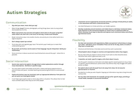 Autism Strategies Sycamore Send Support Services