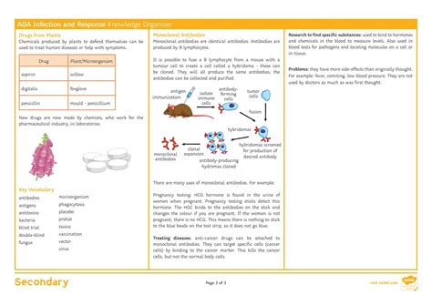 Aqa Gcse Infection And Response Knowledge Organiser Pdf Biology