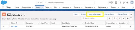 Ways To Add Leads To Salesforce Campaigns As Campaign Members Salesforce Ben