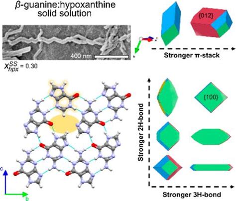 合理化小分子掺杂剂对鸟嘌呤晶体形态的影响chemistry Of Materials X Mol