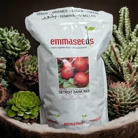 خرید و قیمت بذر چغندر لبویی دیترویت دارک رد اماسید هلند پاکت یک کیلویی ترب