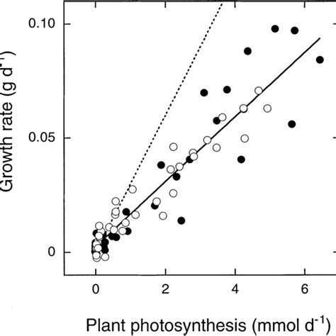 Relationship Between The Rates Of Growth And Photosynthesis Of