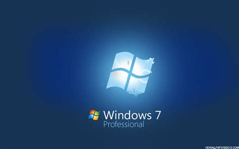 Windows 7 Professional Logo